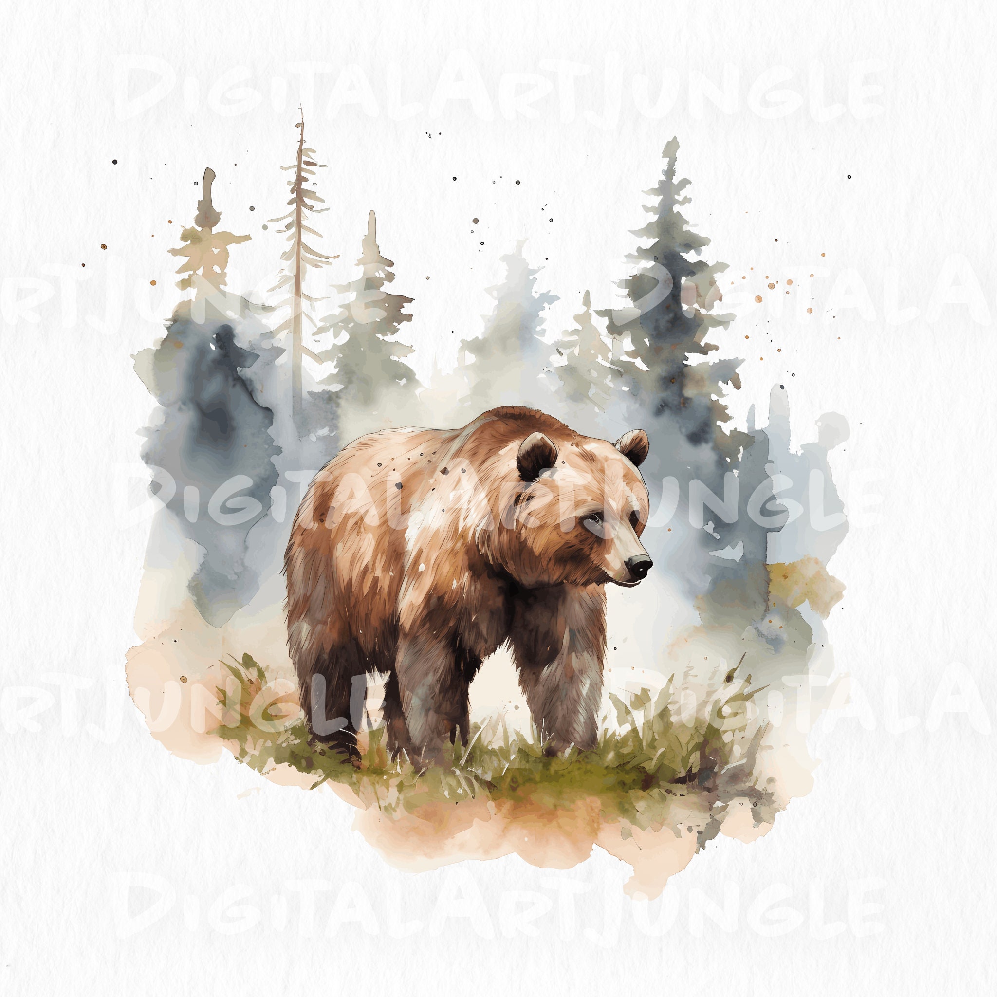 12 Bear Animal Watercolor Clipart Collection,transparent Png,high ...