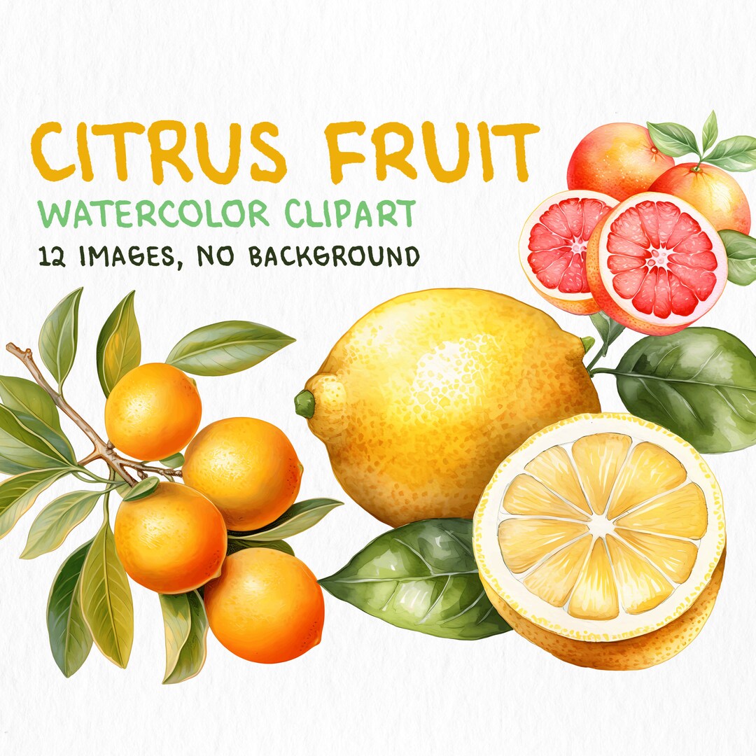 12 Delicious Citrus Fruit Watercolor Clipart Collection,transparent Png ...