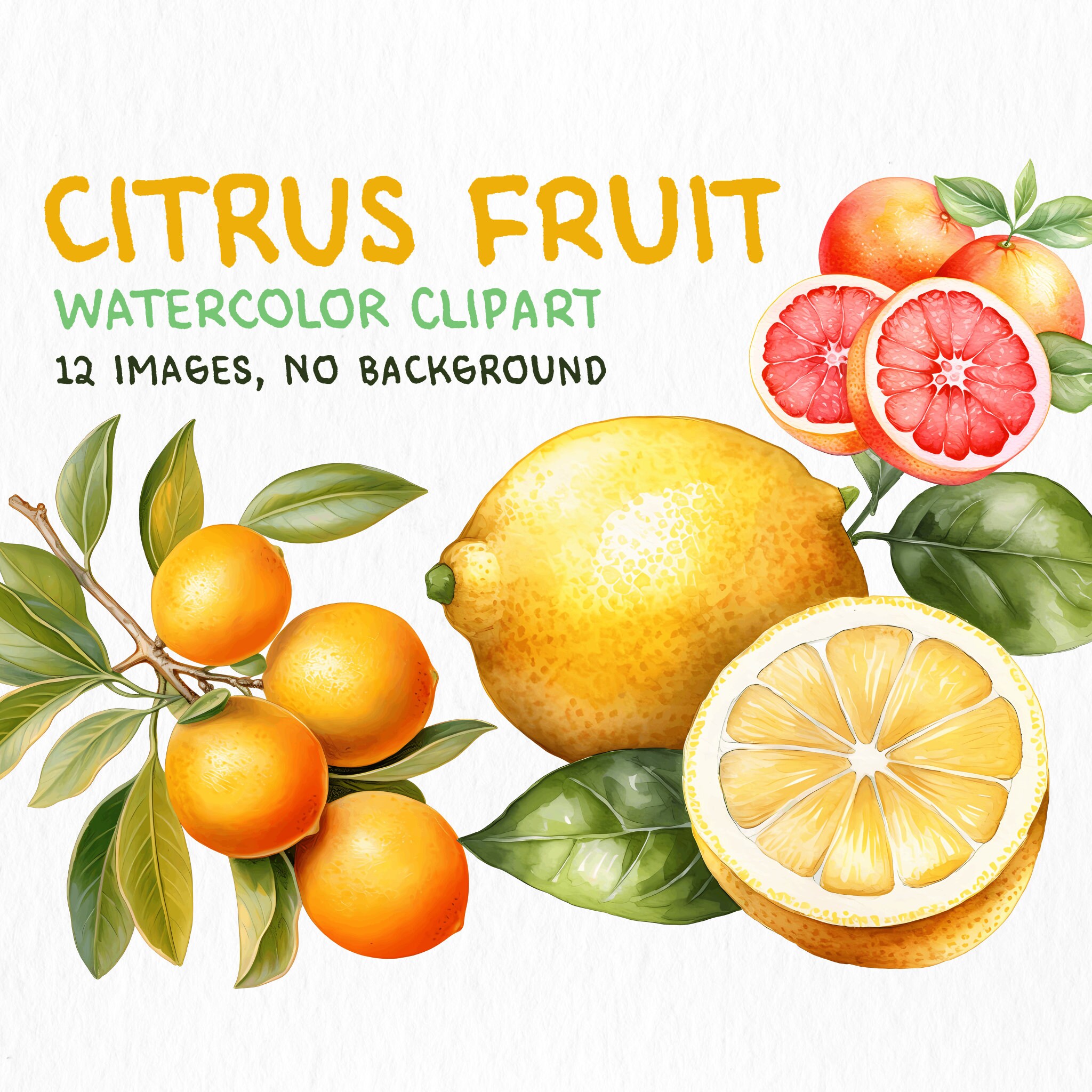 12 Delicious Citrus Fruit Watercolor Clipart - Etsy