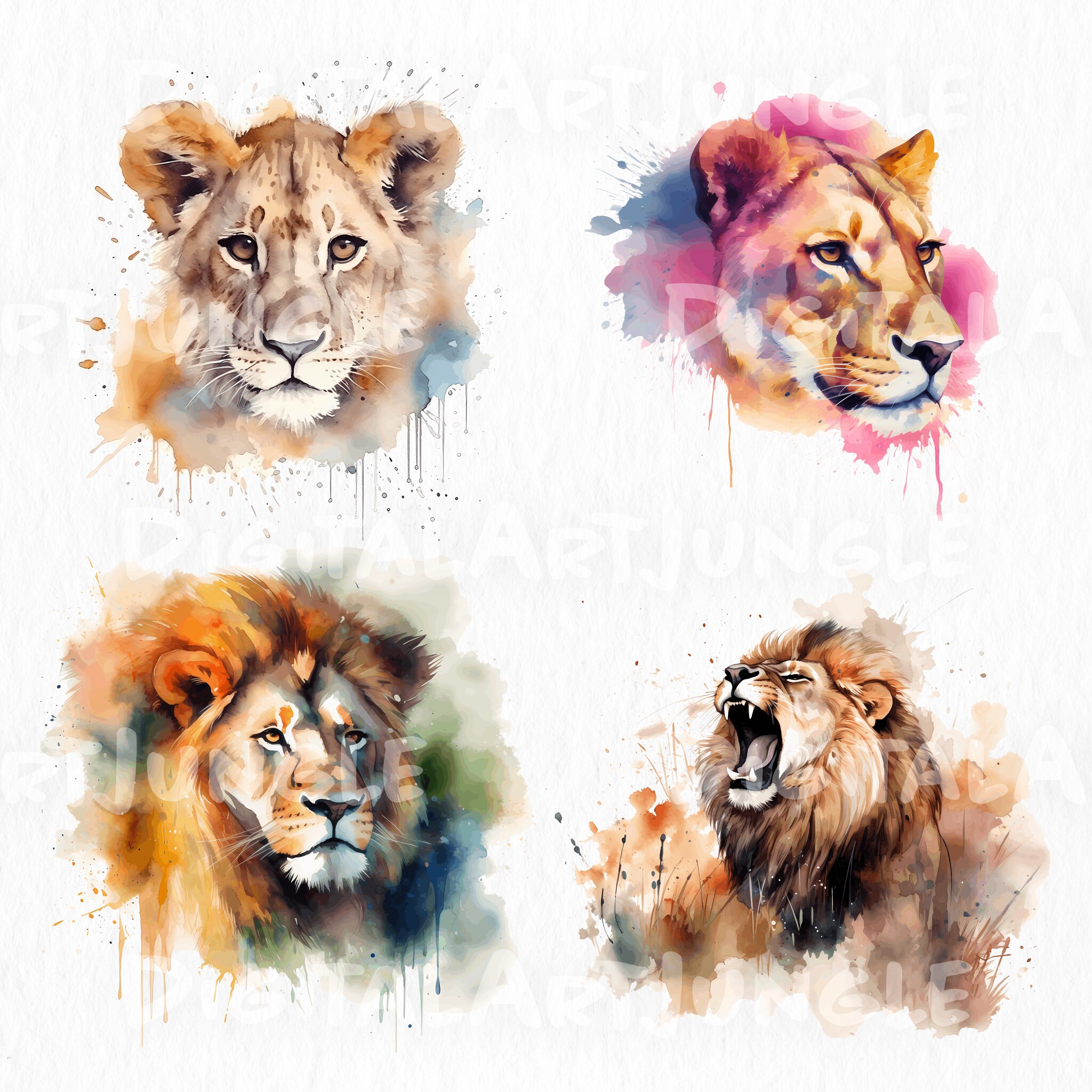 12 Lion Animal Watercolor Clipart Collection,transparent Png,high ...