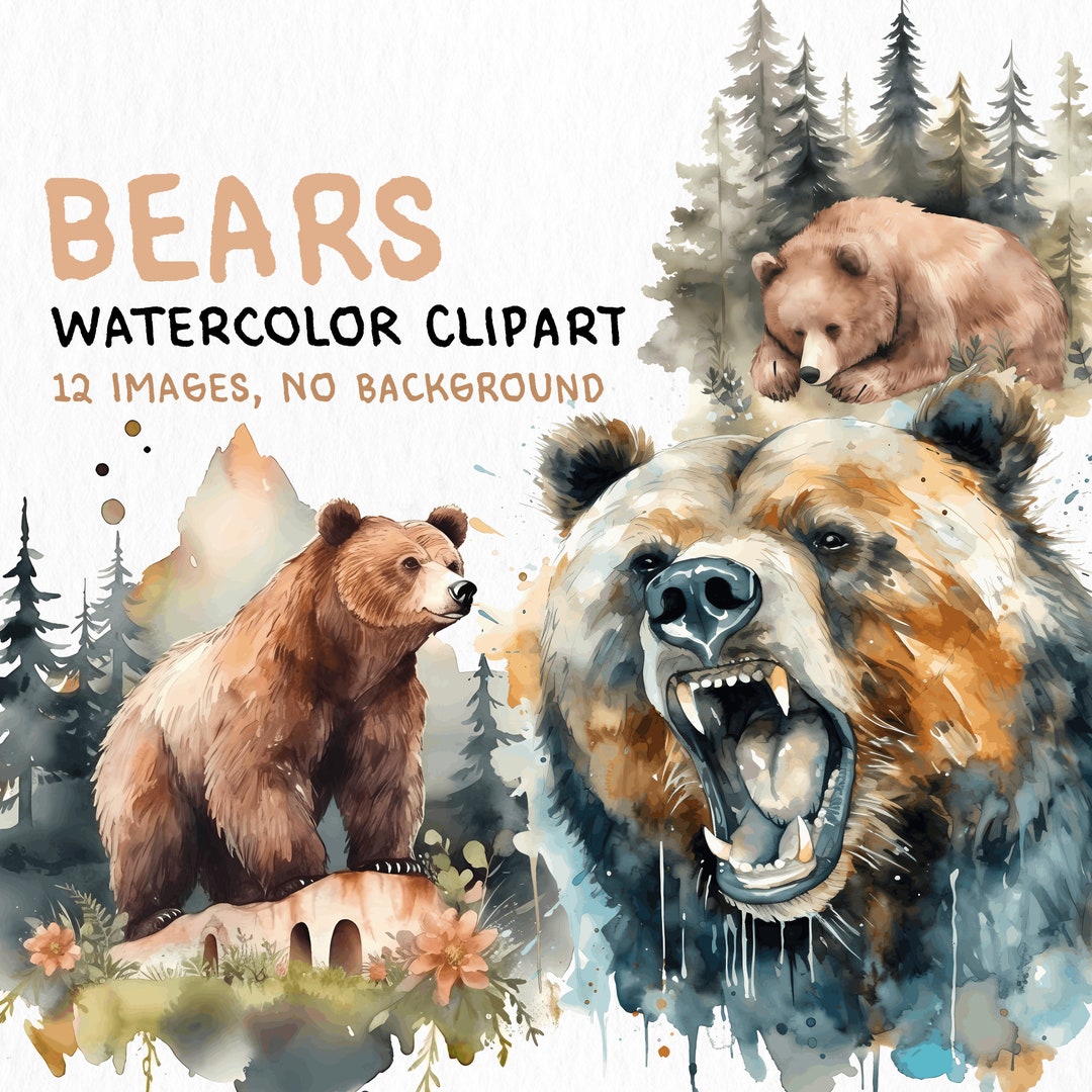 12 Bear Animal Watercolor Clipart Collection,transparent Png,high ...