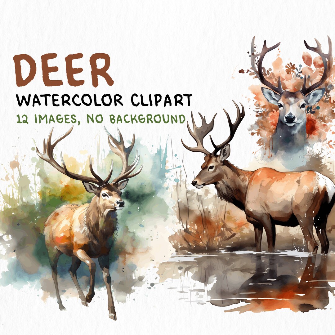 12 Deer Animal Watercolor Clipart Collection,transparent Png,high ...