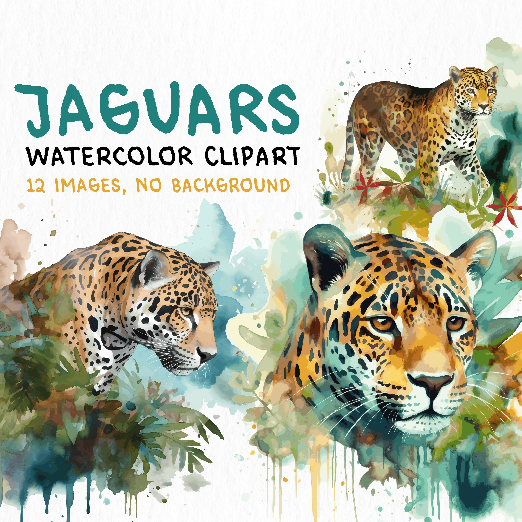 12 Jaguar Animal Watercolor Clipart Collectiontransparent - Etsy