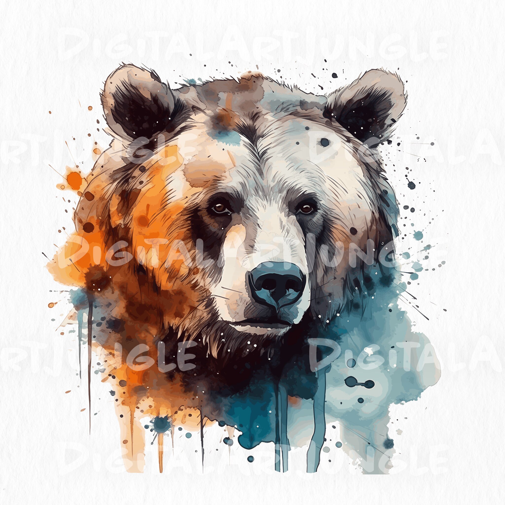 12 Bear Animal Watercolor Clipart Collectiontransparent - Etsy