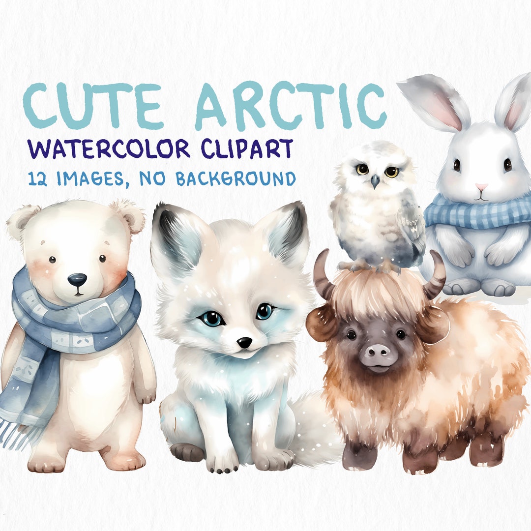 12 Cute Arctic Polar Animal Watercolor Clipart Collection,clip Art ...