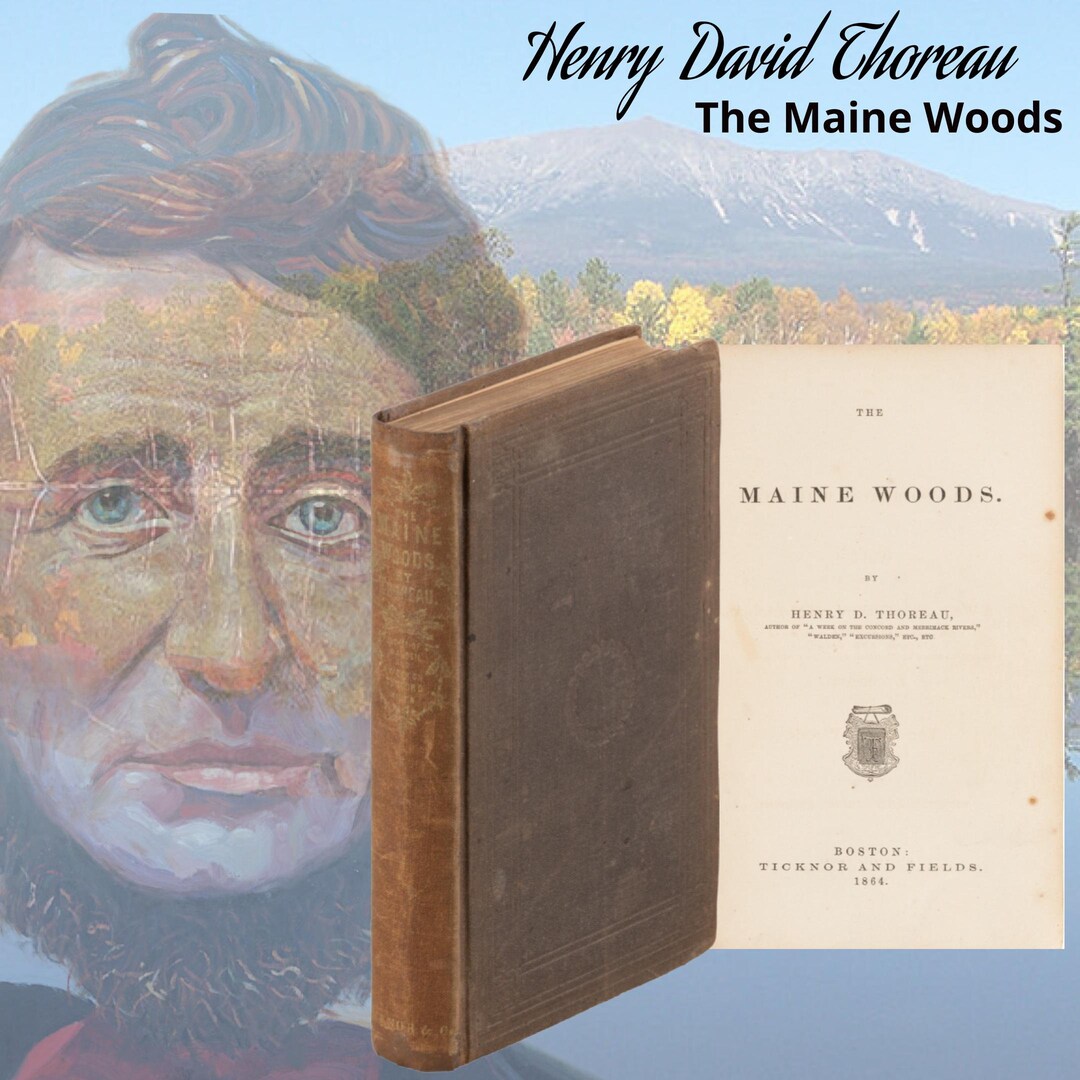 Henry David Thoreau - THE MAINE WOODS - 1864 First Edition, Ticknor ...