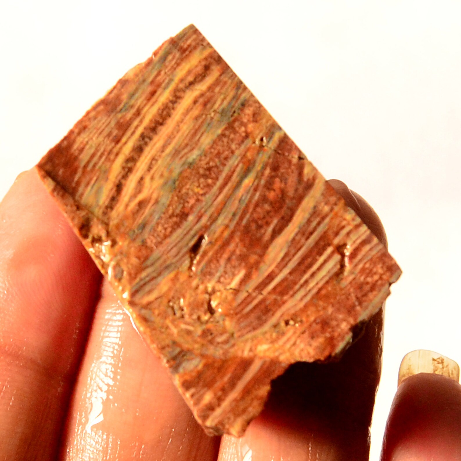 Natural Red Jasper Rough Rough Snakeskin Jasper Stones Rough | Etsy