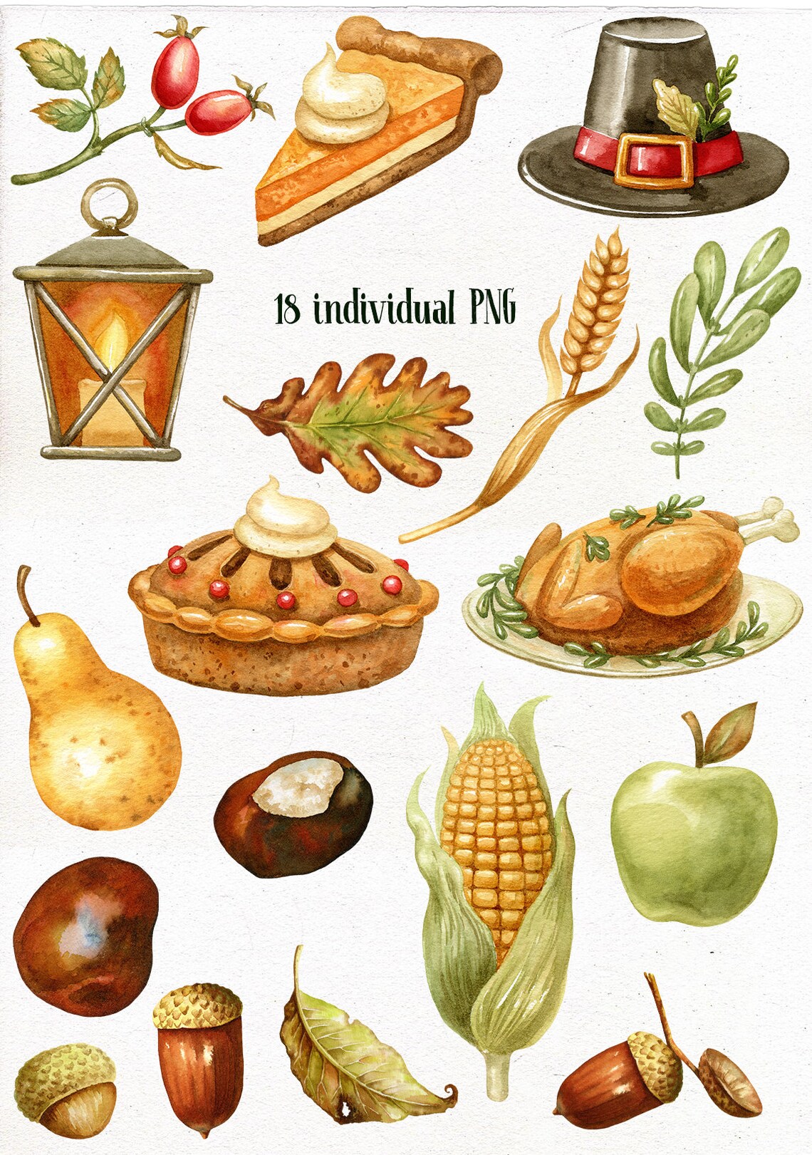 Thanksgiving Watercolor Individual Clipart. Autumn Harvest Clip Art ...