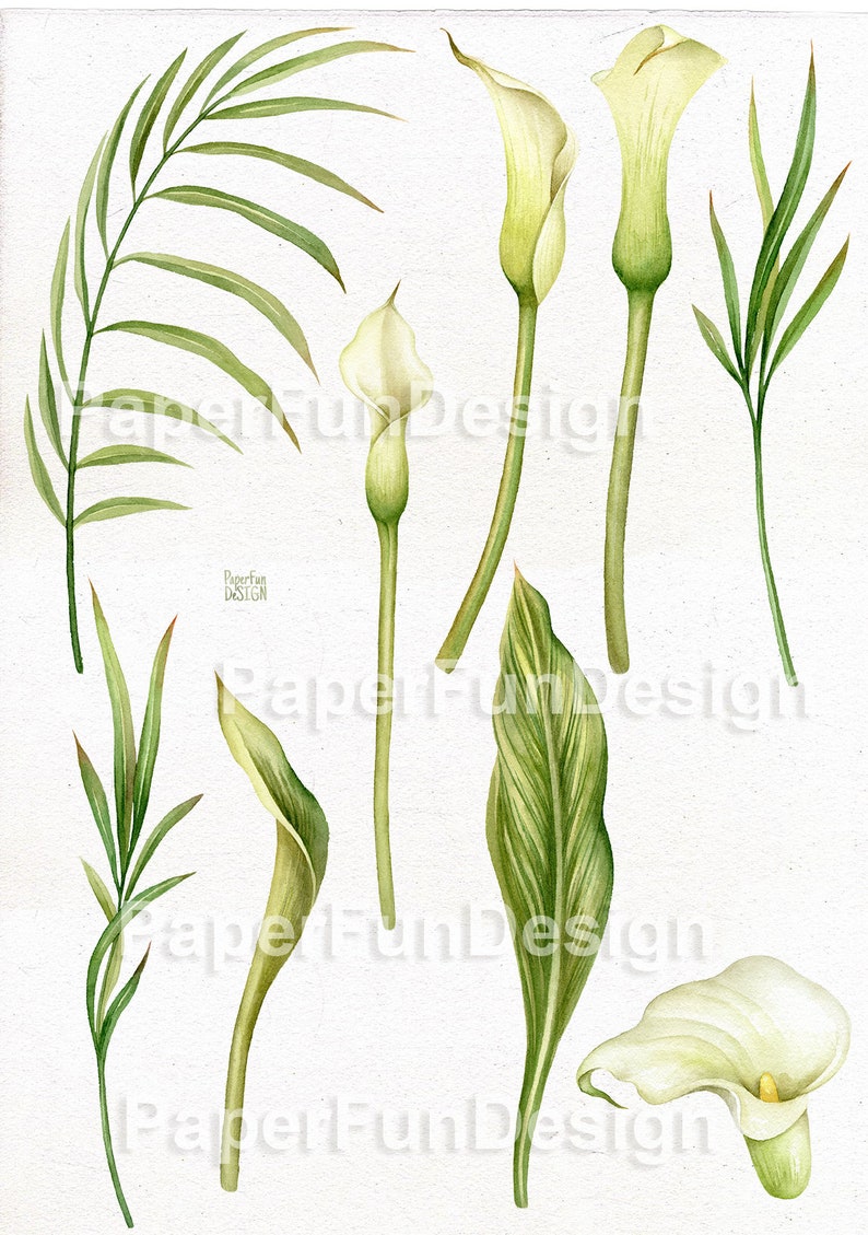 Tropical Bundle Clipart. Watercolor Painted Individual - Etsy