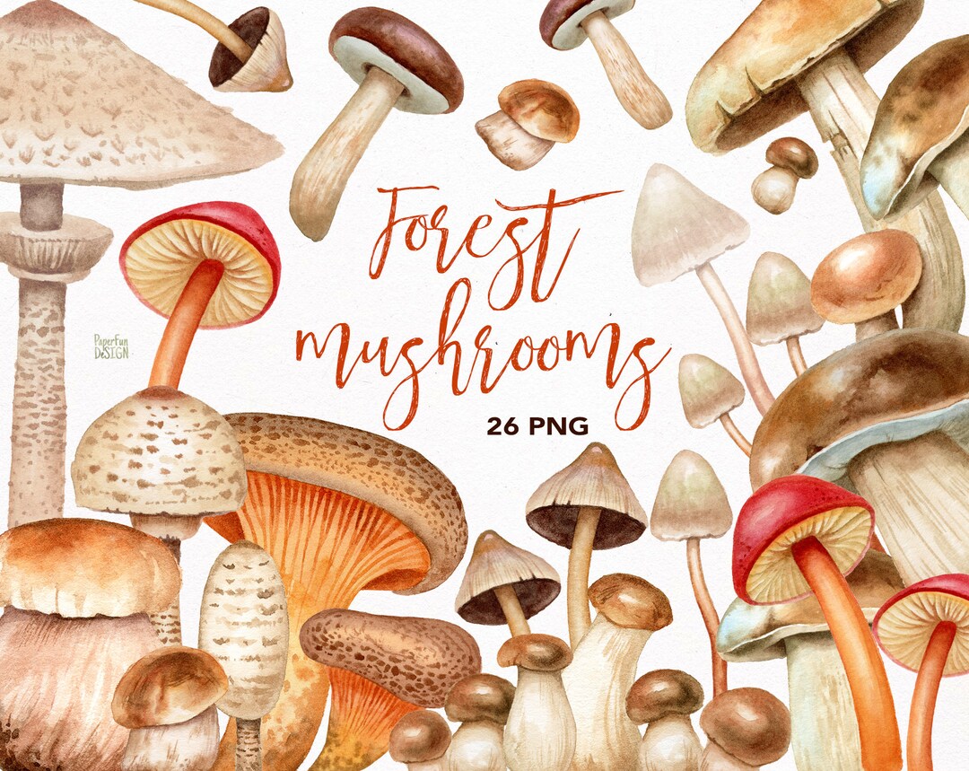Watercolour Mushrooms Individual PNG. Watercolor Autumn Clipart. Fall ...