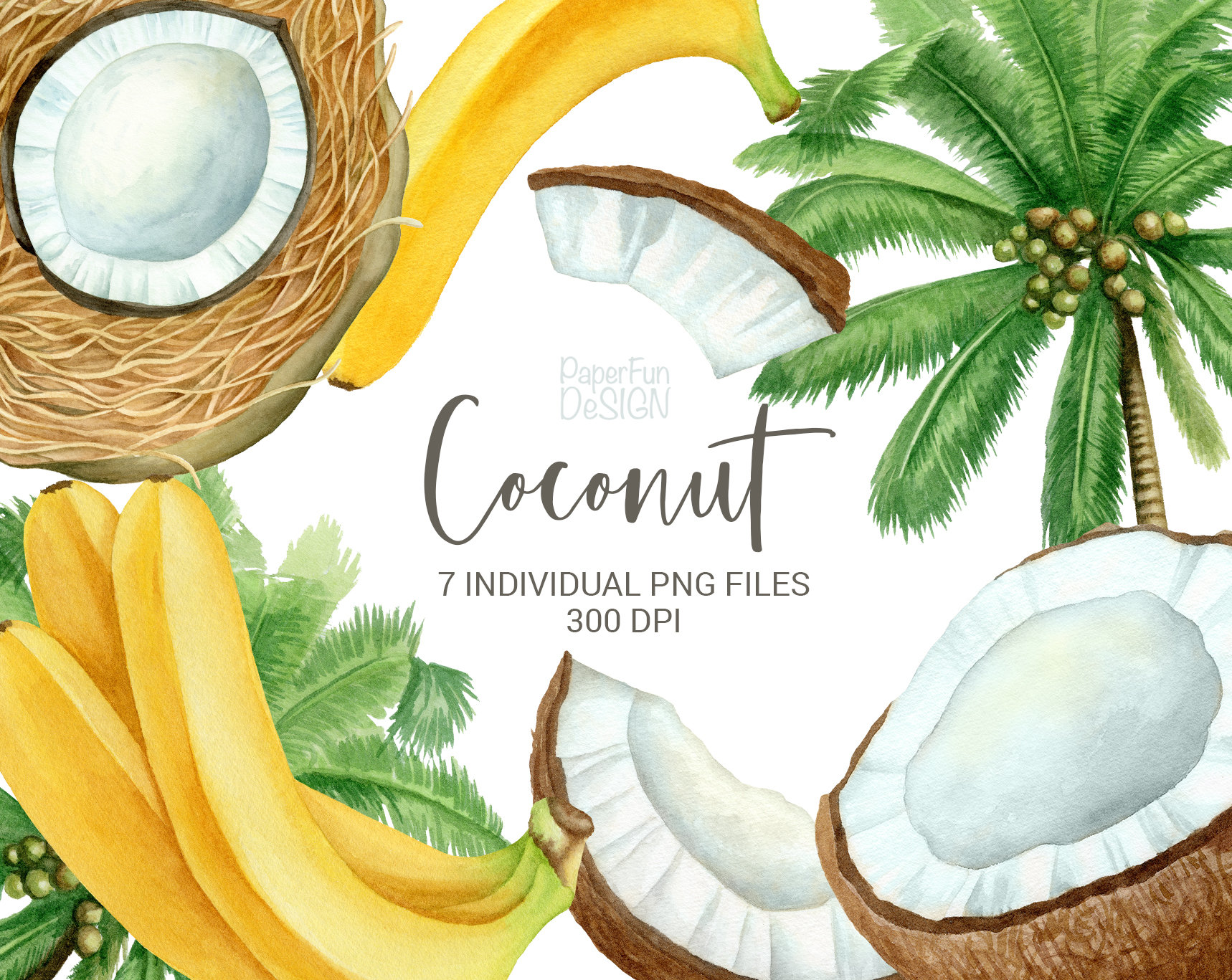 Clipart Of A Coconut