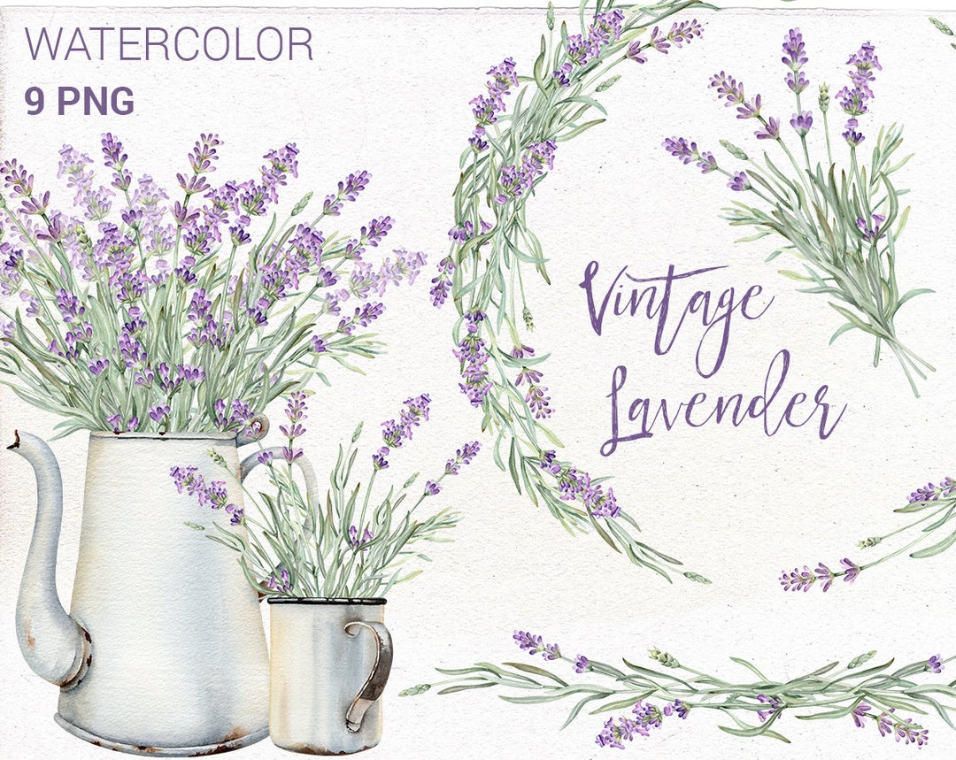 Watercolor Vintage Lavender Clip Art. White Rusty Farmhouse Wedding ...