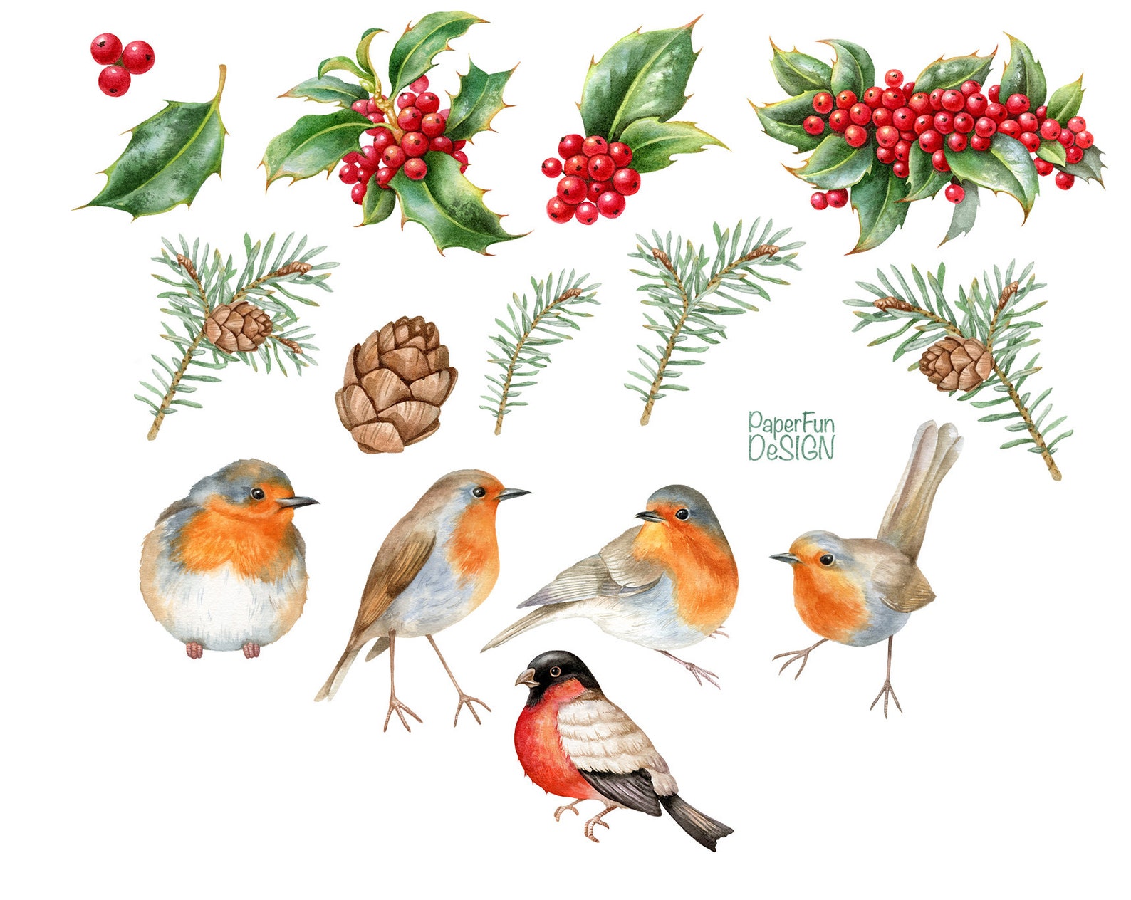 Watercolor Christmas Clipart. Winter Robin Birds Holly Leaves - Etsy