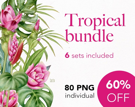 Tropical Bundle Clipart. Watercolor Painted Individual - Etsy