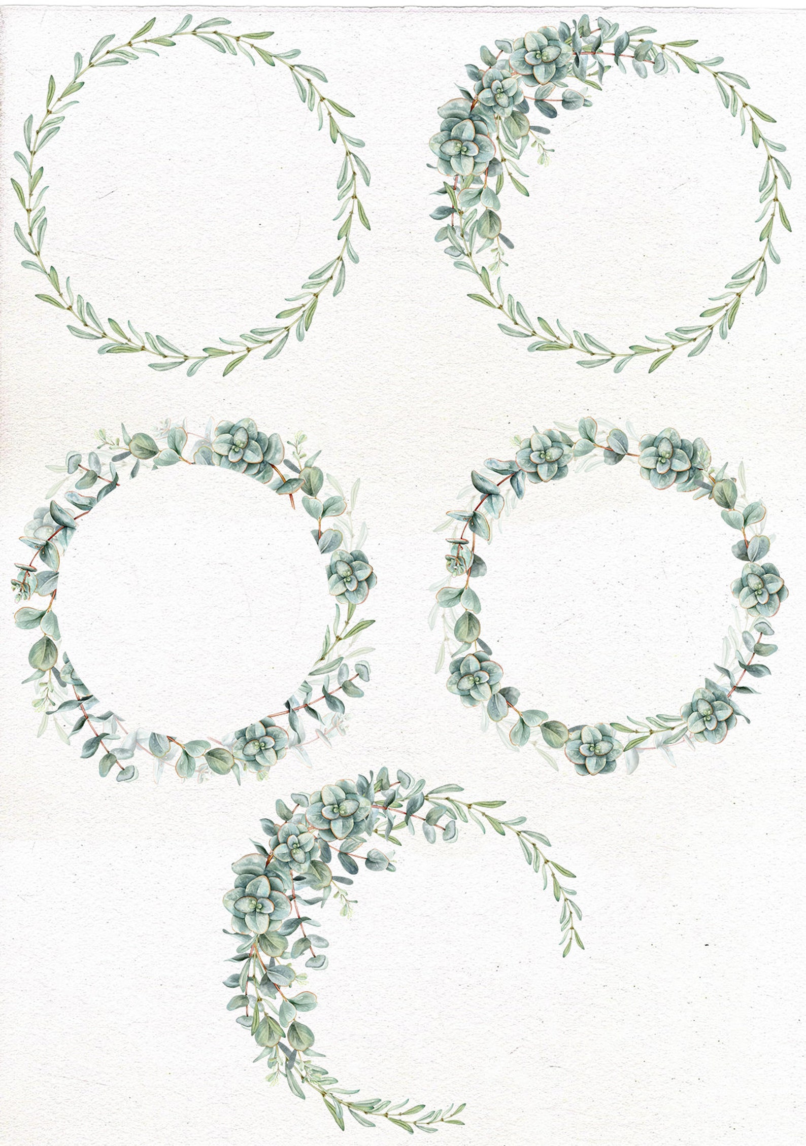 Watercolor Eucalyptus Wreath, Frame. Greenery Clip Art, Eucalyptus ...