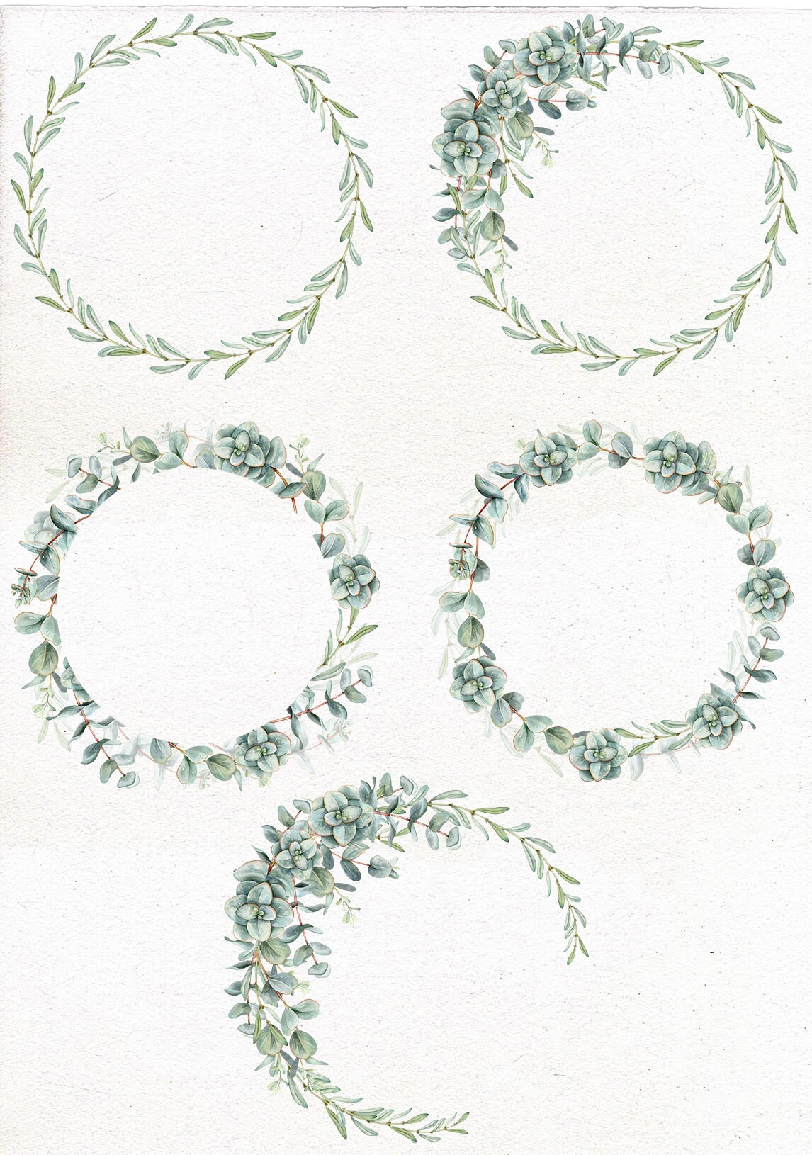 Watercolor Eucalyptus Wreath, Frame. Greenery Clip Art, Eucalyptus ...
