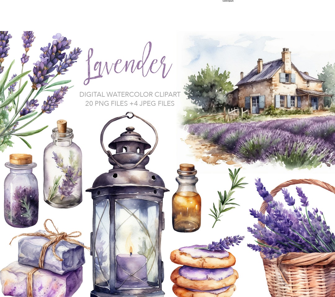 Provence Lavender Digital Watercolor Clipart. AI Illustration. Rustic ...