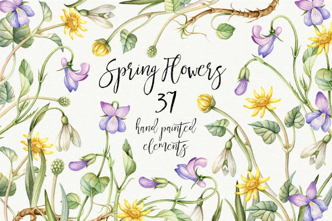 Easter Flowers Clipart Spring Watercolor Flower Clip Art - Etsy