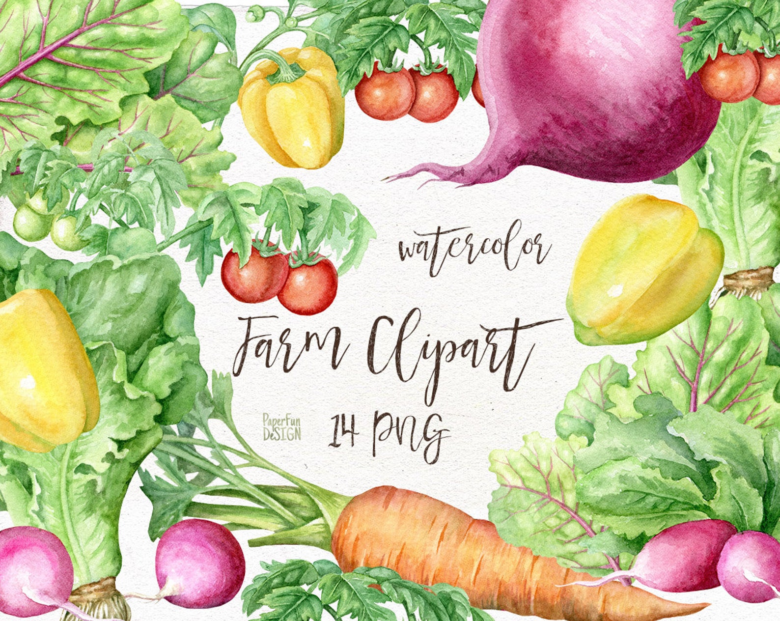 Watercolor Individual Vegetables PNG. Orange Carrot Red - Etsy