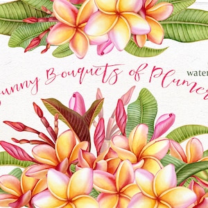 Watercolor Plumeria Bouquets. High Resolution Tropical Digital Art ...