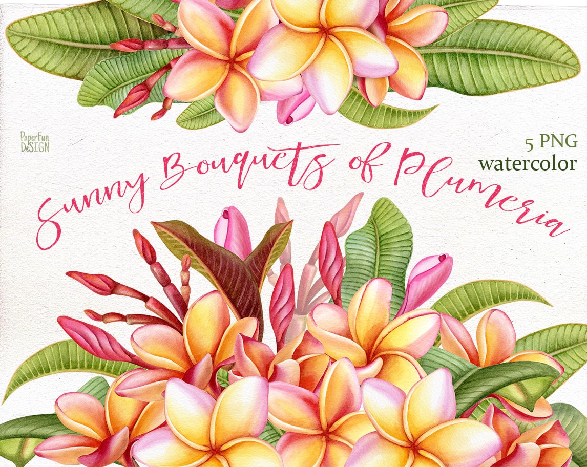 Watercolor Plumeria Bouquets. High Resolution Tropical Digital - Etsy