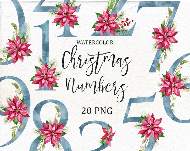 Watercolor Christmas Clipart Number Clip Art Poinsettia - Etsy