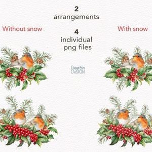 Watercolor Christmas Collection Clipart. Winter Robin Birds, Holly ...