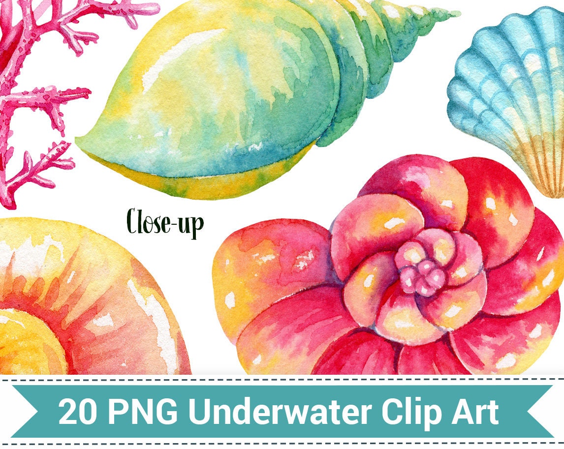 Nautical Clipart. Watercolor Underwater Clip Art Sea - Etsy Canada