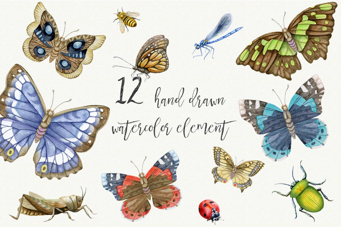 Watercolor Butterflies. Individual Summer Clipart. Insect PNG. - Etsy