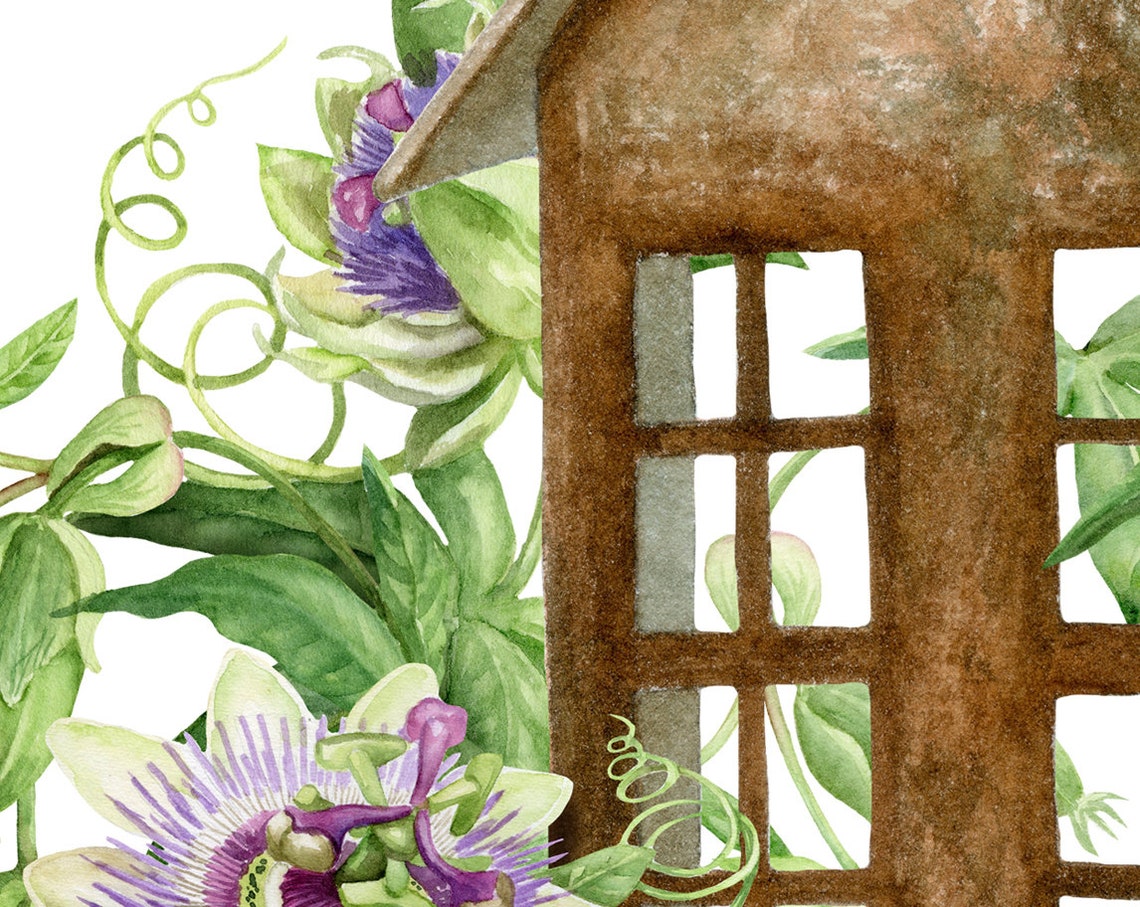 Watercolor Rusty Gardening 5 Individual PNG With Passion Fruit - Etsy