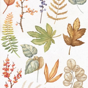 Watercolor Autumn Clipart. Individual PNG Fall Clip Art. Hand-painted ...