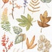 Watercolor Autumn Clipart. Individual PNG Fall Clip Art. Hand-painted ...