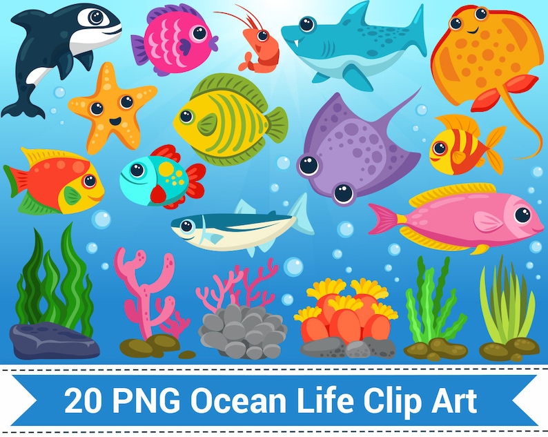 Underwater Bundle Ocean Life Clip Art Digital Paper Cute Sea - Etsy