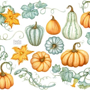 Watercolor Pumpkin Clip Art. Thanksgiving Autumn Clip Art. Fall Harvest ...