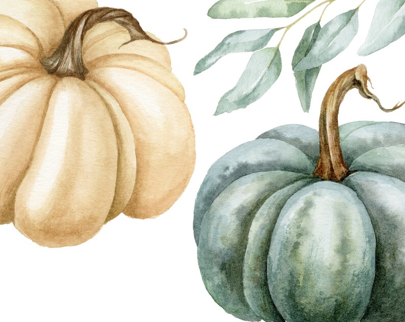 Thanksgiving Watercolor Clip Art. Autumn Pumpkins Green and - Etsy