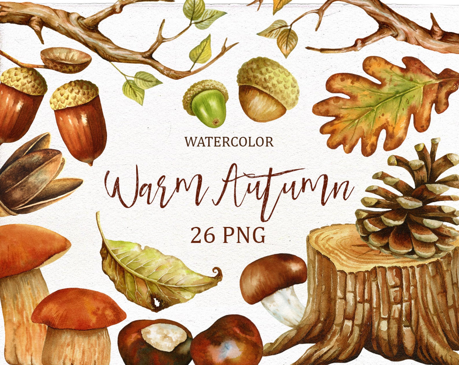 Fall Forest Watercolor Clip Art. Autumn Woodland Clipart. - Etsy