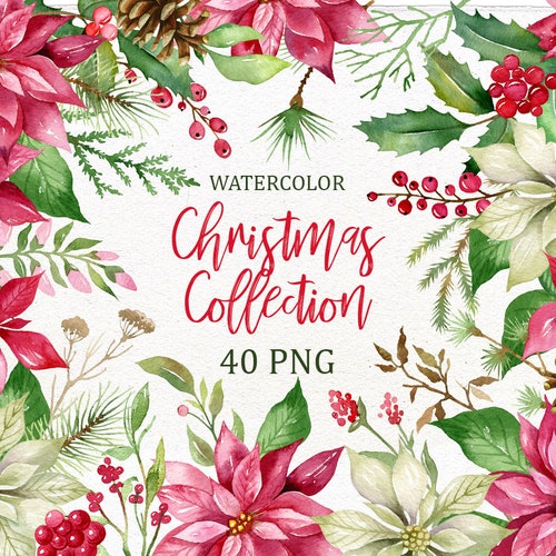 Christmas Mistletoe Watercolor Clipart PNG Hand Painted - Etsy