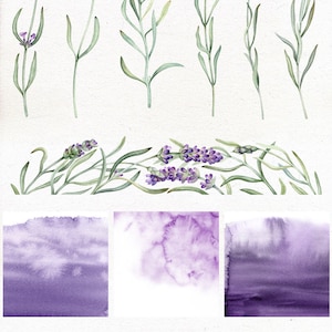 Watercolor Lavender Digital Clip Art. Individual PNG Files. Included ...
