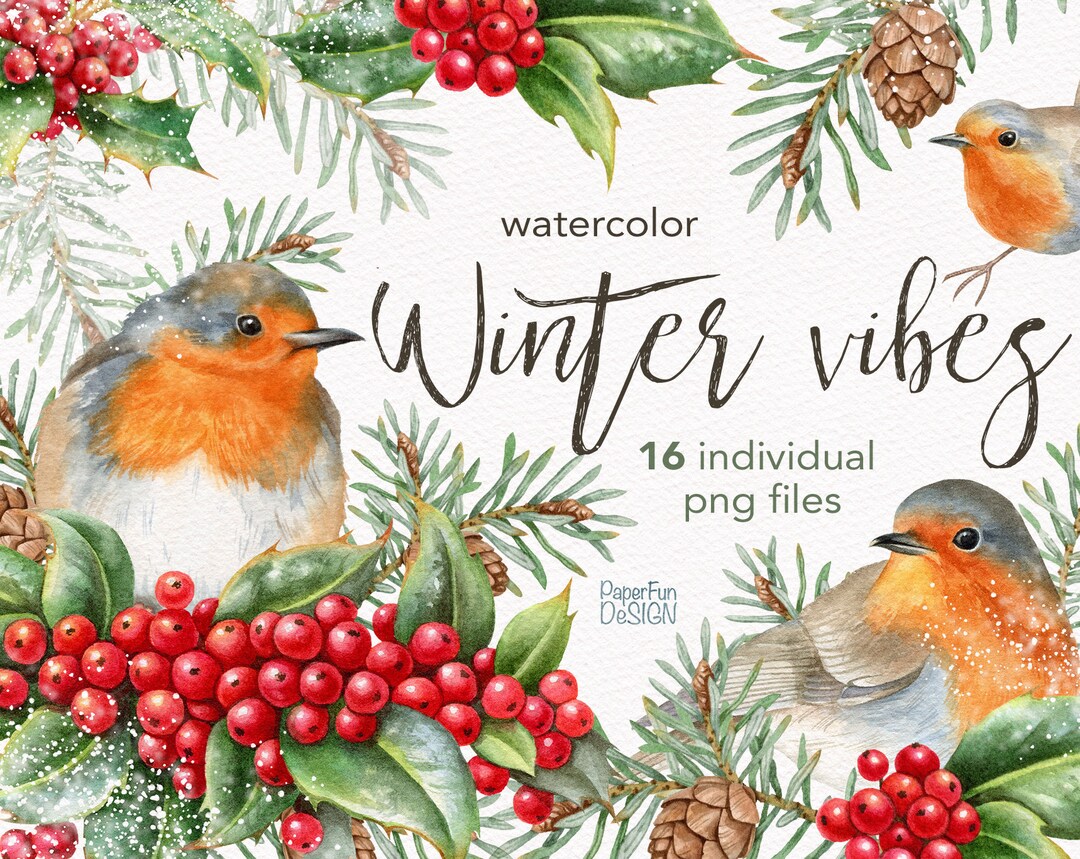 Watercolor Christmas Clipart. Winter Robin Birds, Holly Leaves and ...