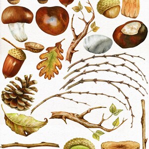 Fall Forest Watercolor Clip Art. Autumn Woodland Clipart. - Etsy