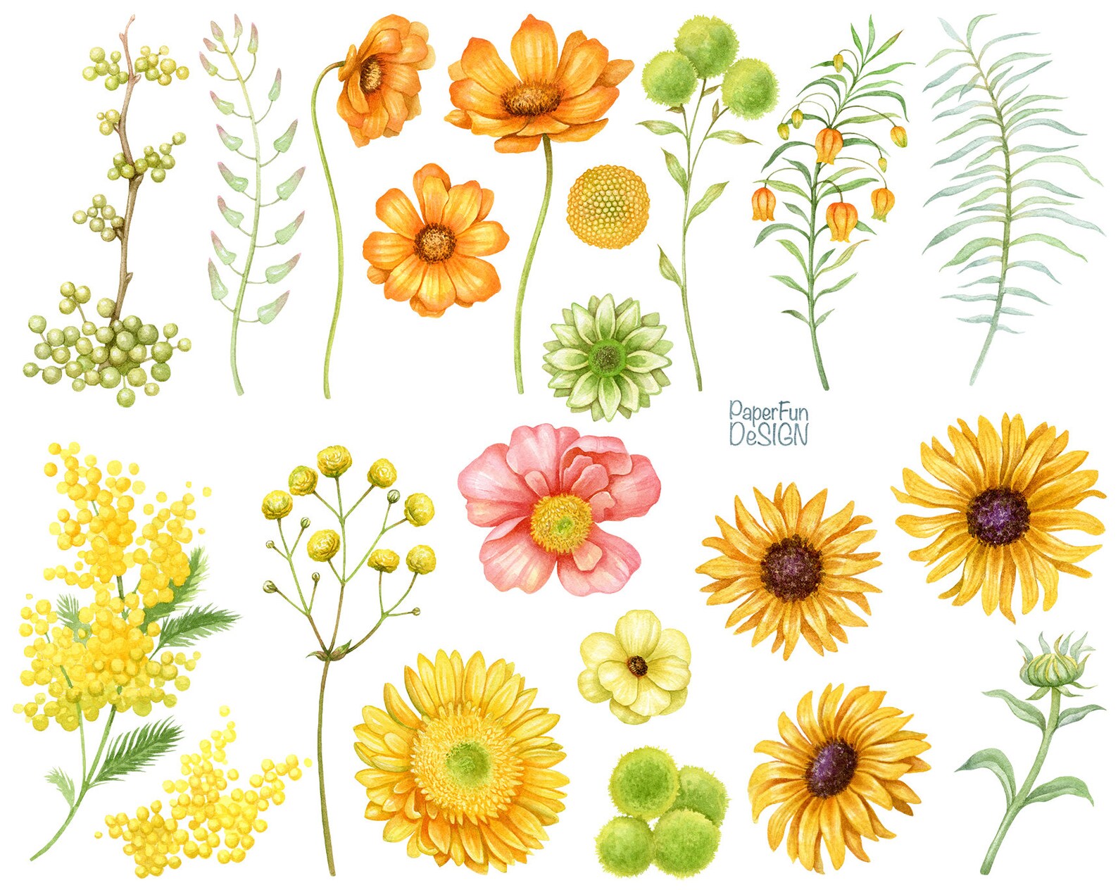 Watercolor Yellow Flowers Clip Art. Orange Summer Spring - Etsy