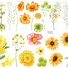 Watercolor Yellow Flowers Clip Art. Orange Summer Spring - Etsy
