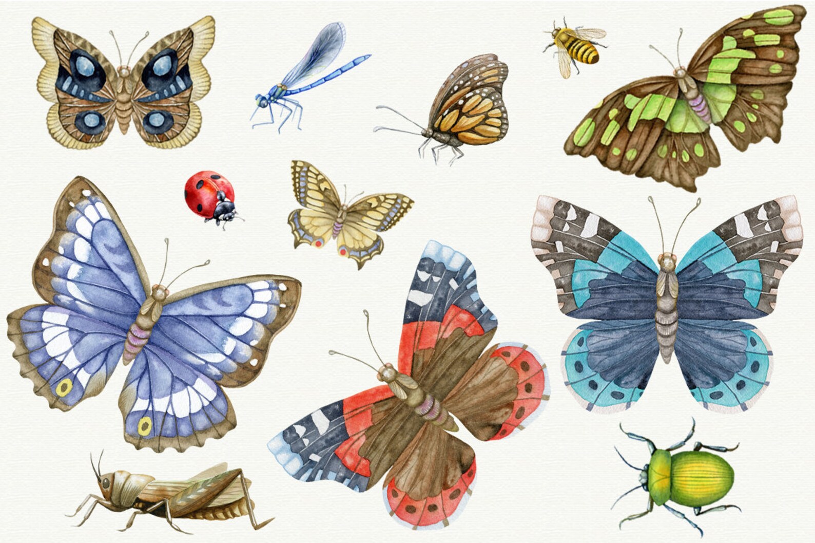 Watercolor Butterflies. Individual Summer Clipart. Insect PNG. - Etsy