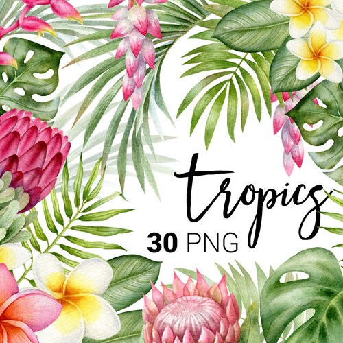 Watercolor Plumeria Clip Art. Tropical Summer Wedding Flowers - Etsy Watercolor Plumeria Clip Art. Tropical Summer Wedding Flowers - Etsy