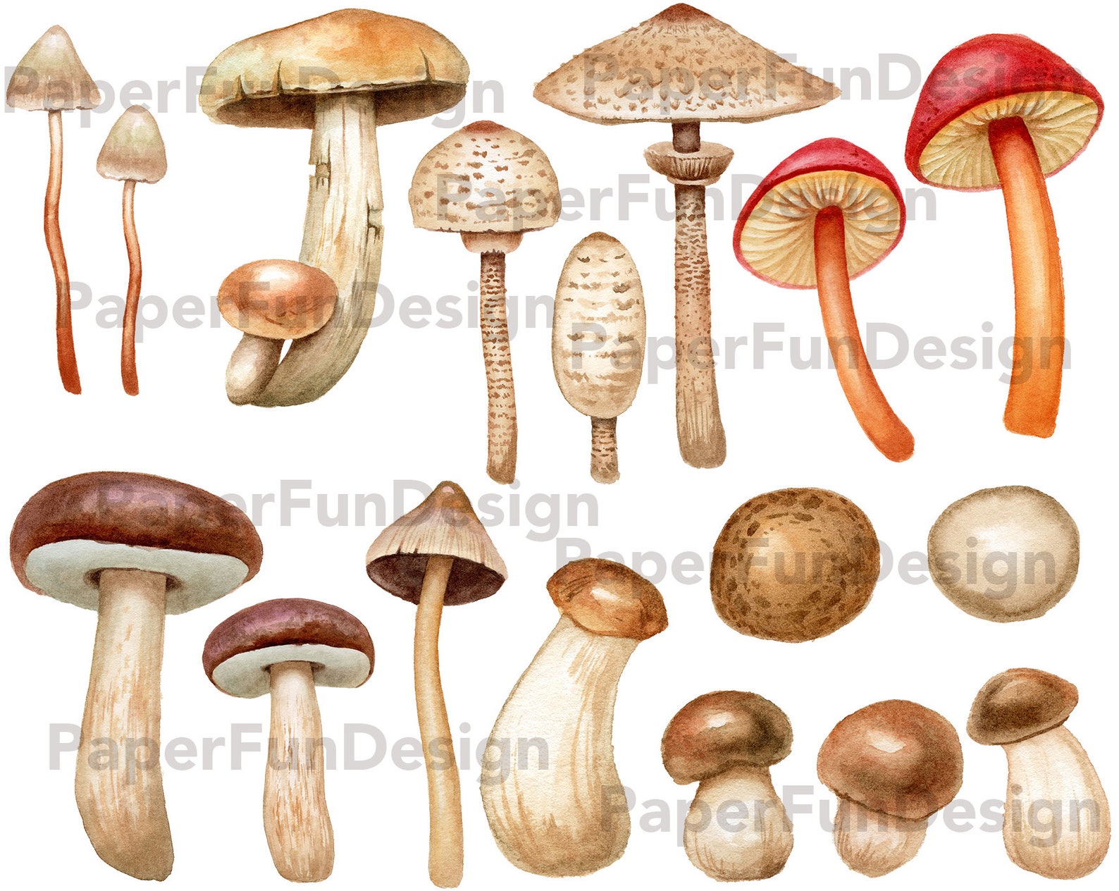 Watercolour Mushrooms Individual PNG. Watercolor Autumn - Etsy