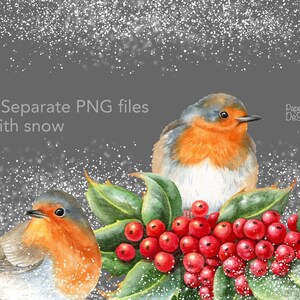 Watercolor Christmas Clipart. Winter Robin Birds, Holly Leaves and ...