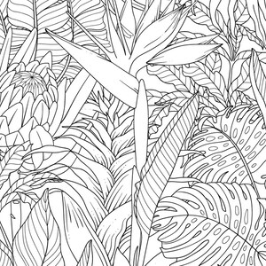 PDF, JPEG Digital Adult Coloring Tropical Page, Botanical Printable ...