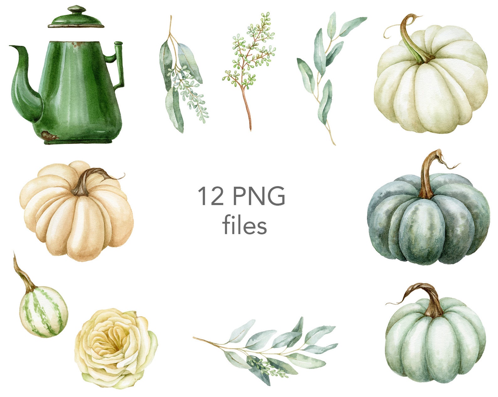Thanksgiving Watercolor Clip Art. Autumn Pumpkins, Green and White ...