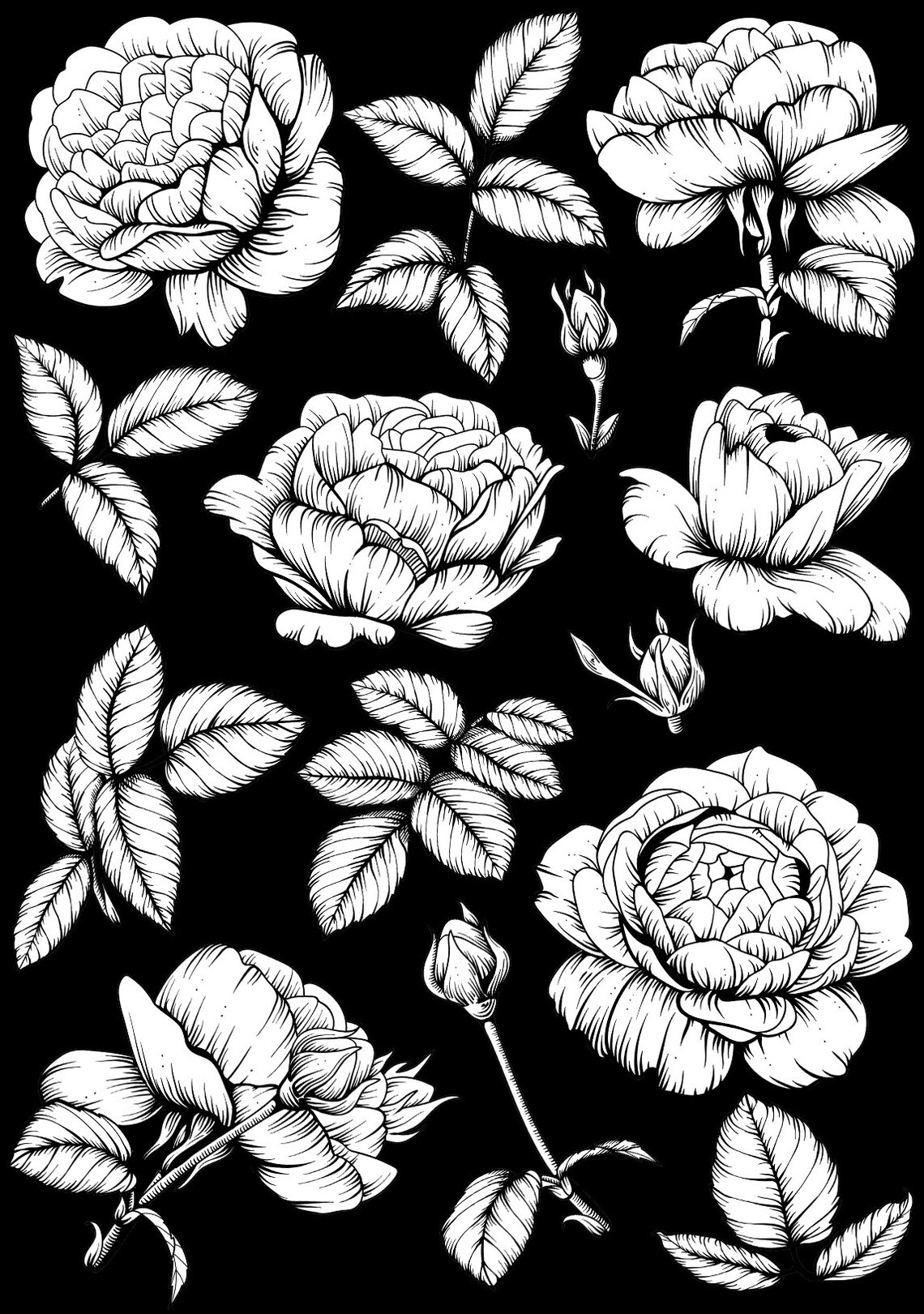 Hand Drawn Vintage Roses Clipart. SVG PNG EPS Formats. Black - Etsy