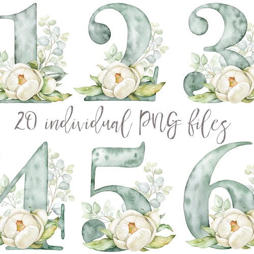 Watercolor Numbers Clipart Floral Number Clip Art. Green Mint - Etsy UK